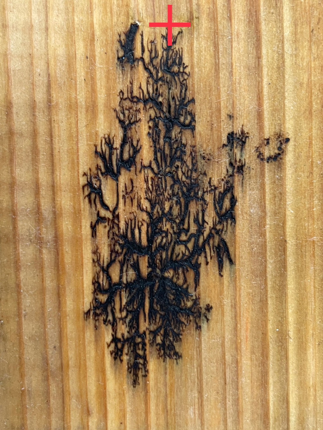 機械科による電気の流れを可視化 – SSH Share site