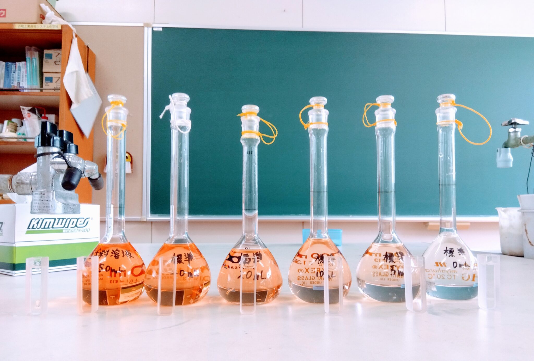 C3 Fe(鉄)の定量 – SSH Share site